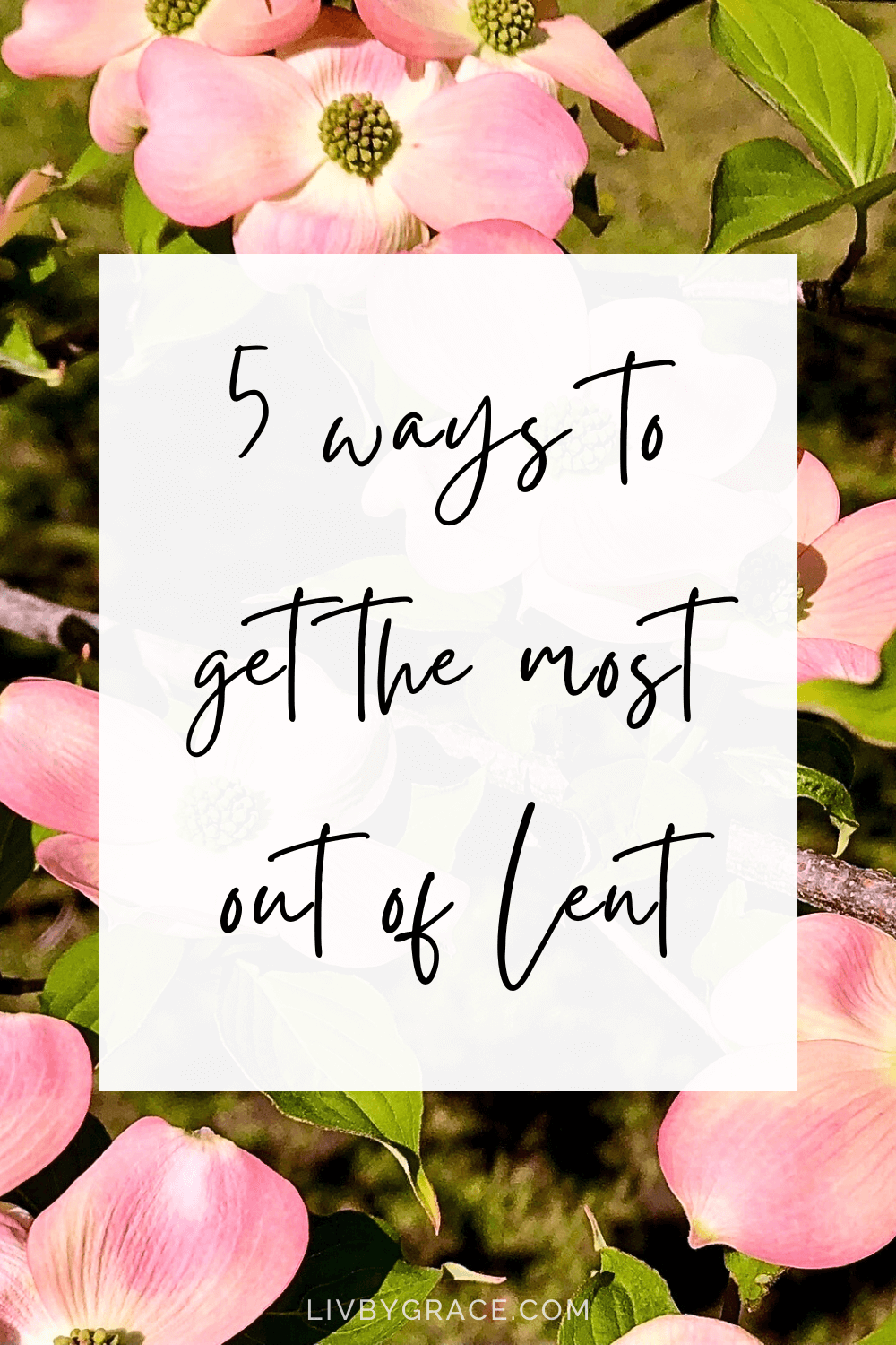 5 ways to get the most out of Lent - Liv By Grace Liv By Grace